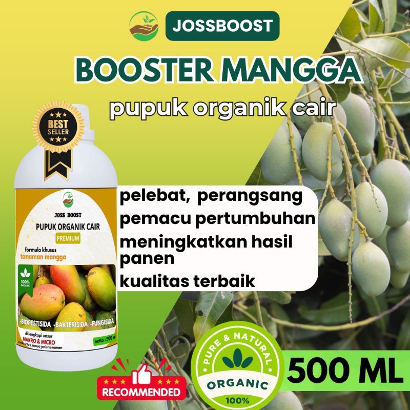 Jual JOSSBOOST - Pupuk Organik Cair Khusus Mangga, boster Mangga Hasil Buah Lebat dan ...