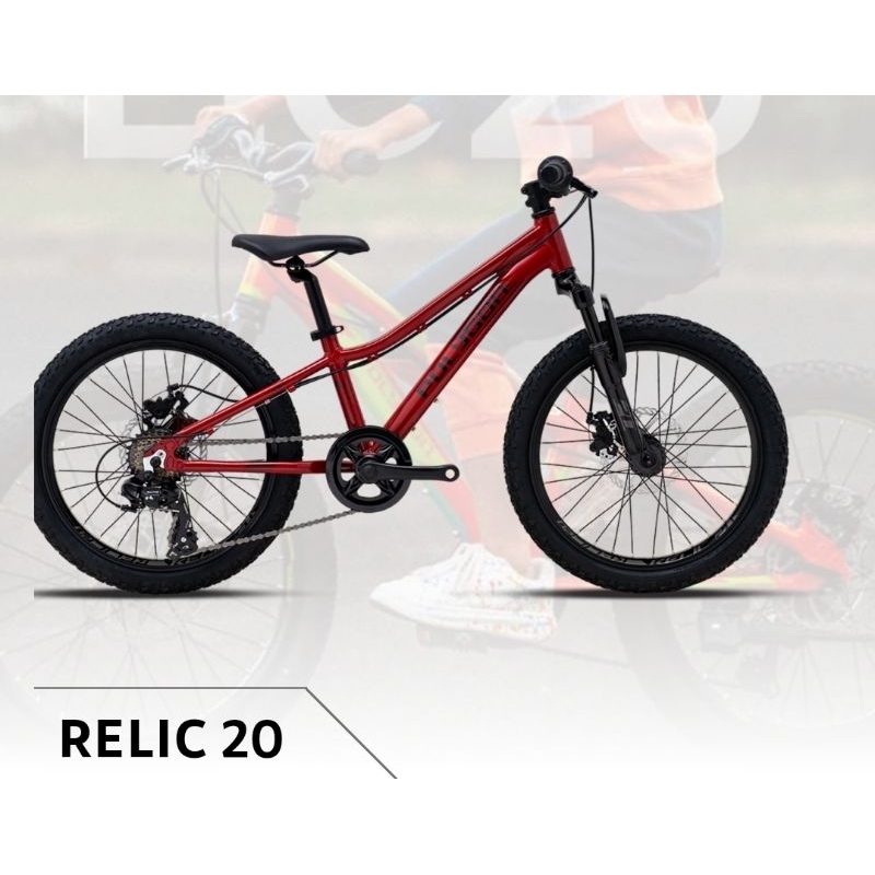 Jual Sepeda MTB 20 inch Polygon RELIC sepeda anak laki laki | Shopee ...