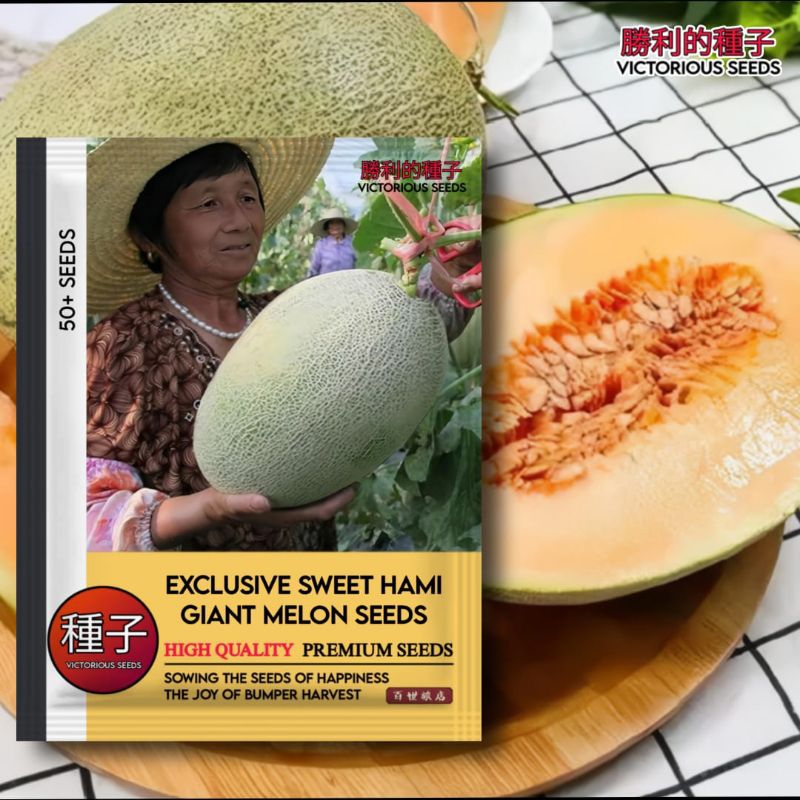 Jual 1 Pack (50 Butir) Benih Melon Raksasa (Exclusive Sweet Hami Giant ...