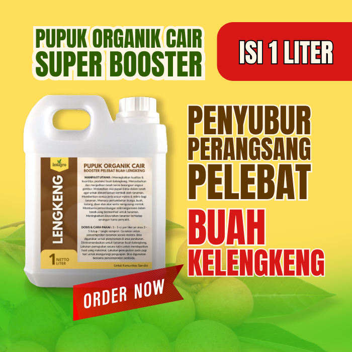 Jual Pupuk Booster Kelengkeng Organik Cepat Berbuah Lebat Anti Rontok Pelebat Buah Kelengkeng ...