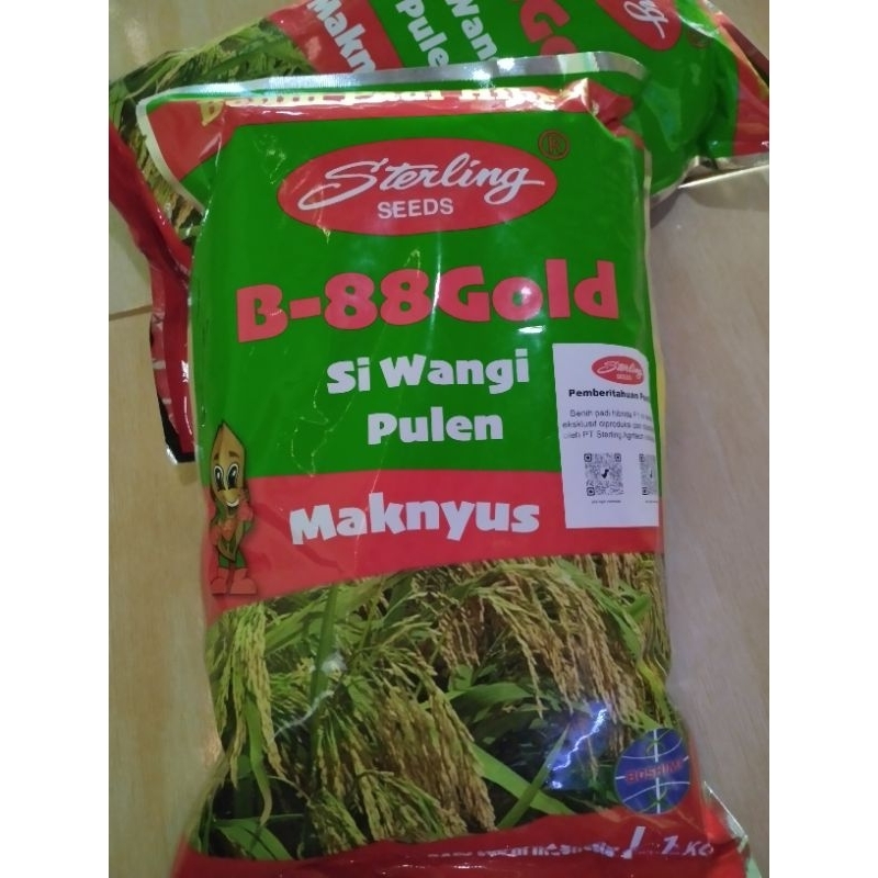 Jual Benih Padi Hibrida Sterling Seeds B-88 Gold Si Wangi Pule Maknyus 1kg | Shopee Indonesia