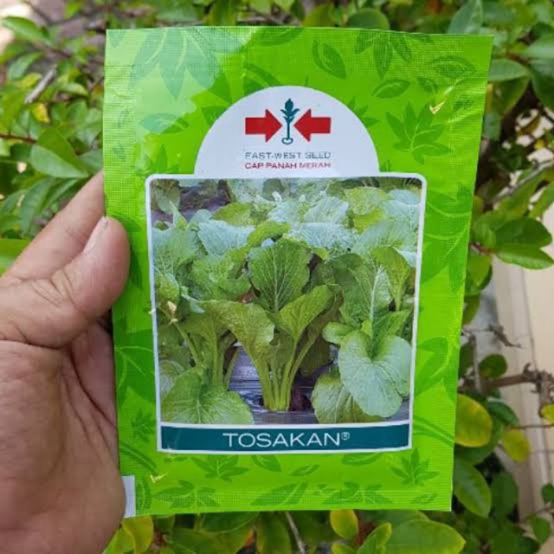 Jual Benih Tanaman Caisim Sawi Tosakan F1/Perawatan mudah tahan ...
