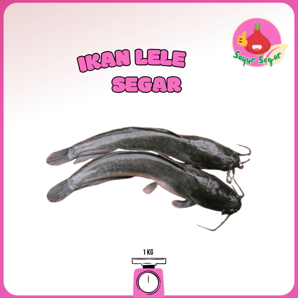 Jual Sayur Segar - Ikan Lele Segar 1kg / Catfish | Shopee Indonesia