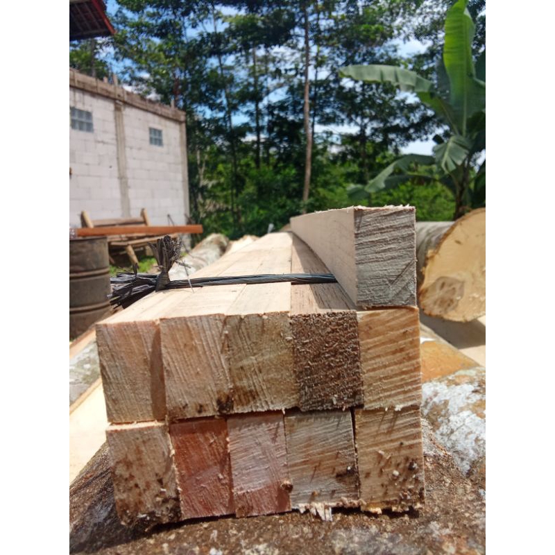 Jual 2x3 LIST KAYU RENG 2X3CM PANJANG 100cm PAKET 6BATANG RENG KAYU 2X3 ...