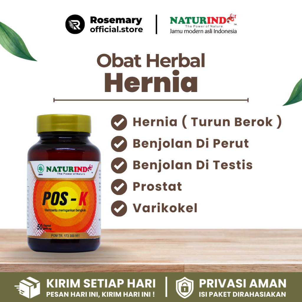 Jual Obat Herbal Hernia Obat Turun Berok Bero Obat Varikokel Buah Zakar ...