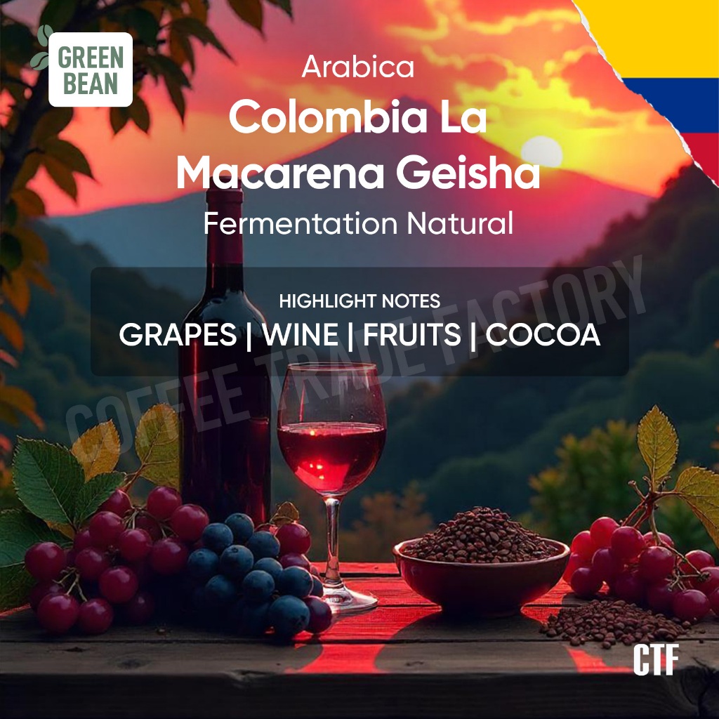 Jual Green Beans Arabika Colombia La Macarena Gesha Natural Sun Dried ...