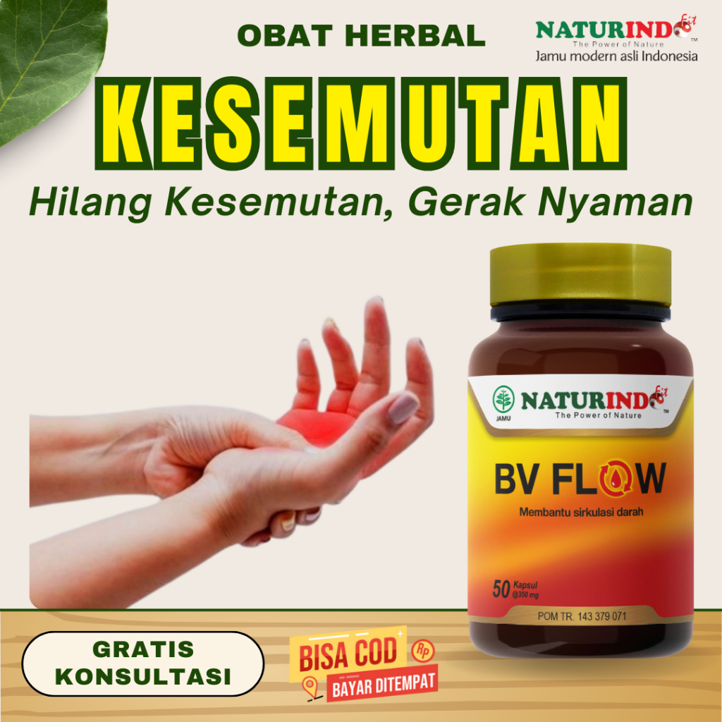 Jual Obat Kesemutan Tangan Dan Kaki Kebas Baal Kram Herbal Bv Flow ...