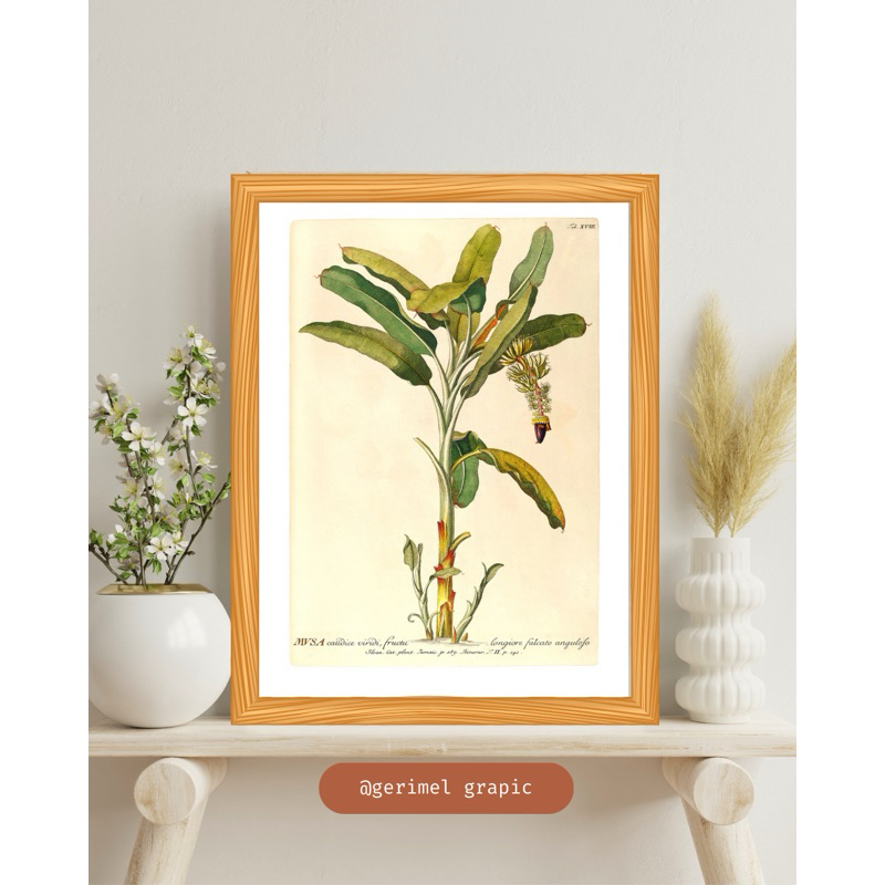 Jual Wall decor hiasan dinding aesthetic gambar pohon pisang | Shopee ...