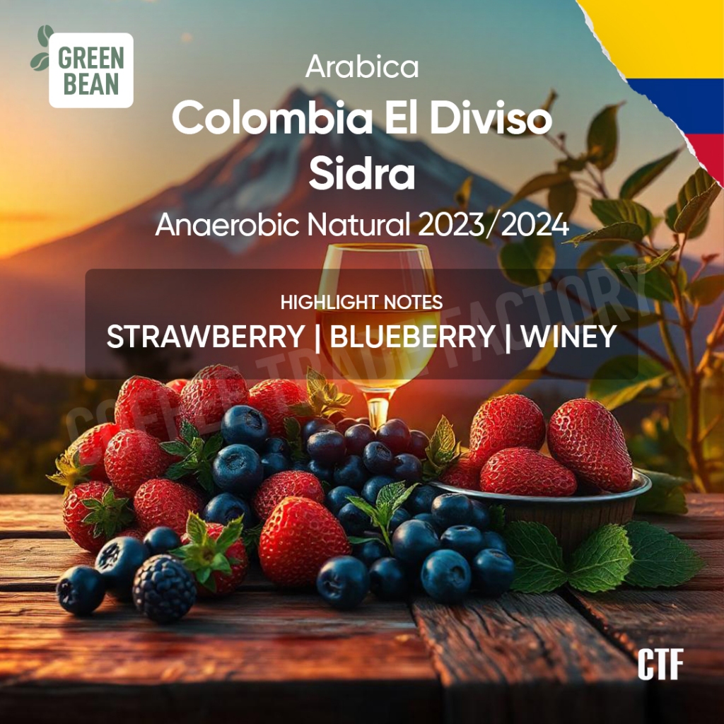 Jual Green Beans Arabika Colombia Finca El Diviso Sidra Natural Anaerob ...