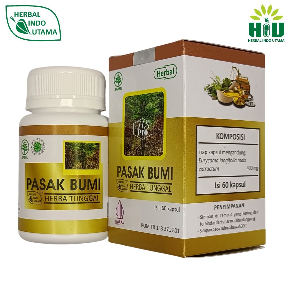 Jual HERBAL INDO UTAMA Pasak Bumi atau Tongkat Ali isi 60 Kapsul ...