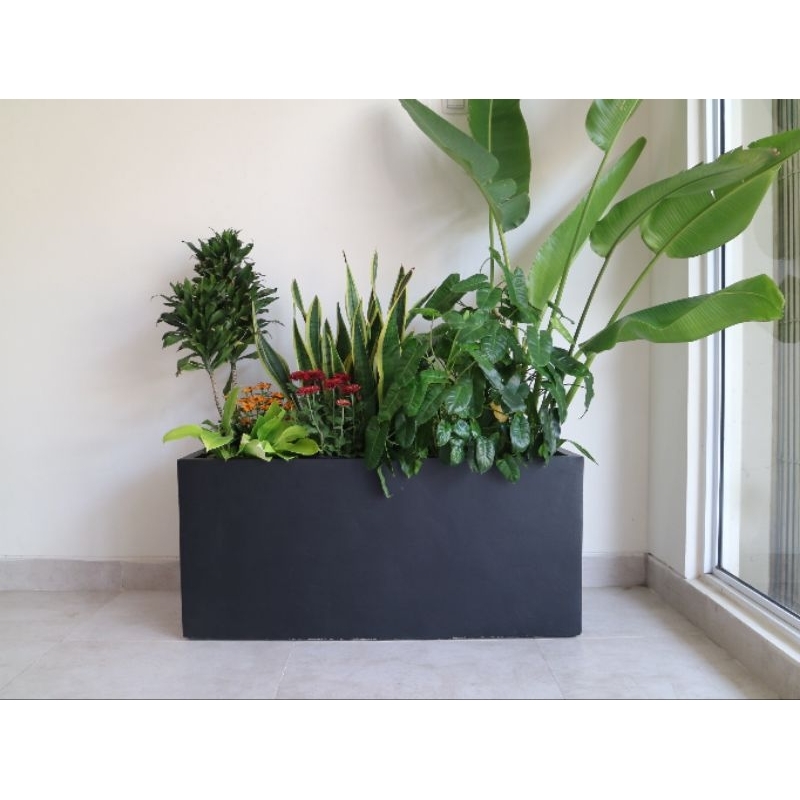 Jual Pot Tanaman Panjang Bahan Semen Planter Box Large PxLxT ...