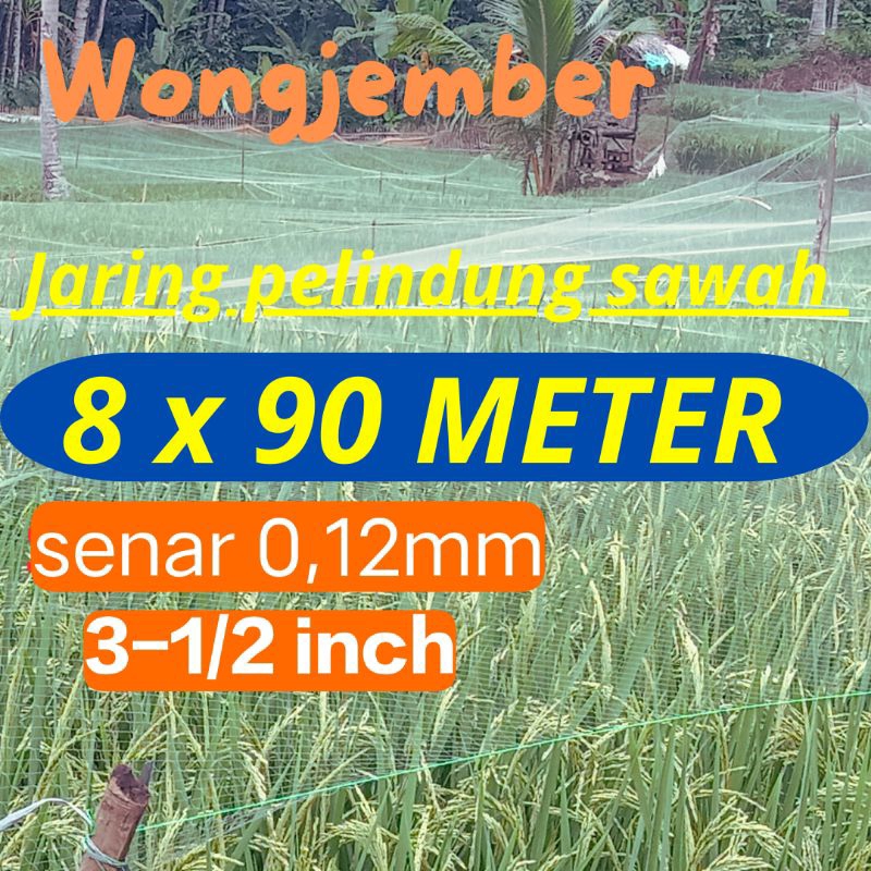 Jual Jaring Pelindung Sawah/jaring padi/jaring burung emprit "0,12mm"3 ...