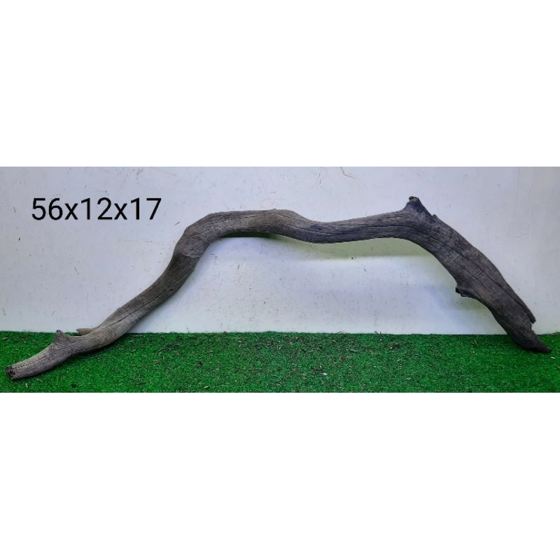 Jual Kayu Santigi Laut Kayu Tenggelam Aquascape Aquarium Taman 56x12x17 ...
