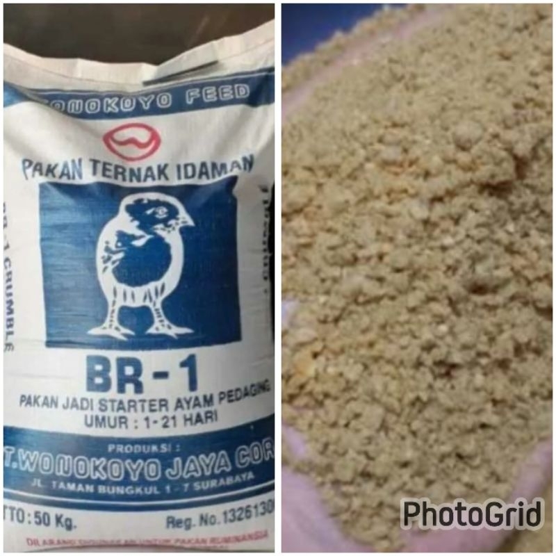 Jual BR-1 STARTER PAKAN AYAM PUR AYAM RAS PEDAGING SEKILO | Shopee ...