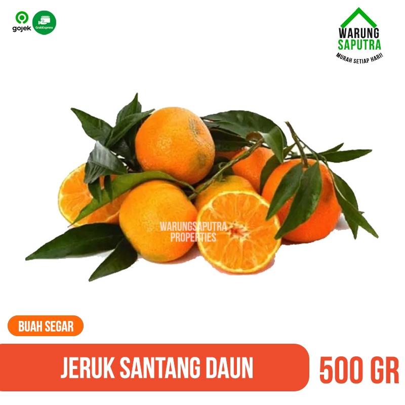 Jual Jeruk Santang Shantang Baby Daun Segar 500g | Shopee Indonesia