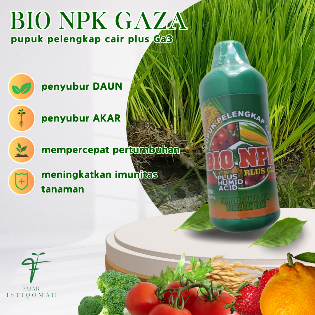 Jual Pupuk NPK Cair BIO NPK GAZA Pelebat anakan Padi Tanpa Penyakit dan Hama isi 500 ML | Shopee ...