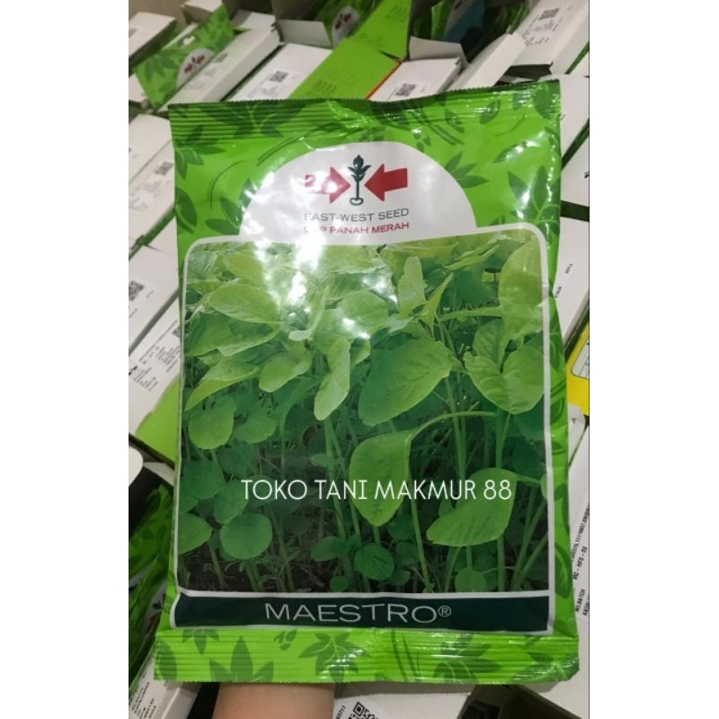 Jual Benih Bayam MAESTRO 500gram Benih Bayam Hijau Isi : 500gram ...