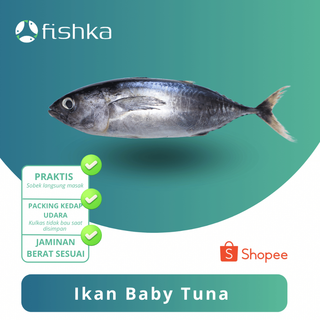 Jual Ikan Baby Tuna / Baby Tuna | Shopee Indonesia