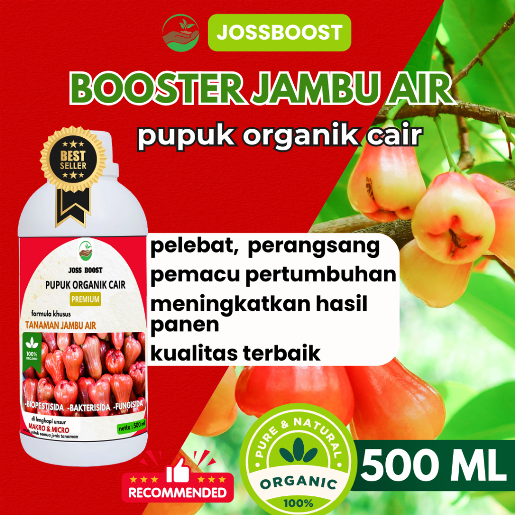 Jual JOSSBOOST - Pupuk Organik Cair Khusus Jambu air boster Jambu air | Hasil Buah Lebat dan ...