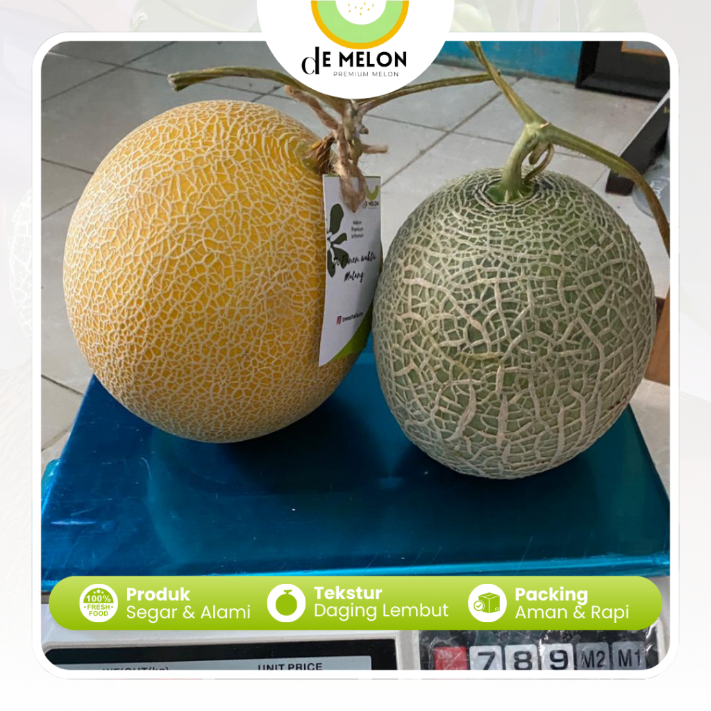 Jual Paket Bundle Buah Melon Inthanon Fujisawa Manis Segar Premium ...