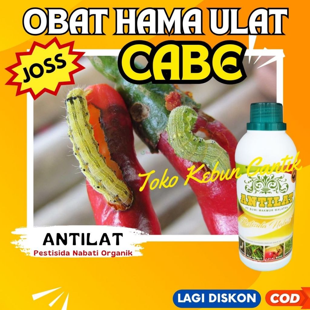 Jual ANTILAT 500ML Obat Hama Ulat Andal untuk Basmi Ulat Grayak, Ulat ...