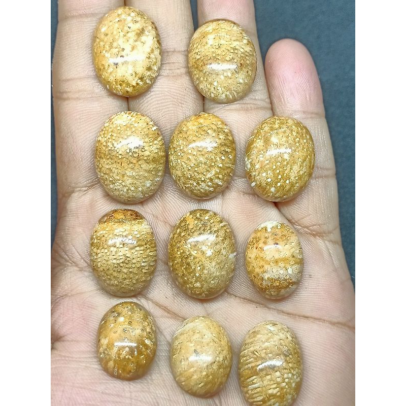 Jual Batu Posil Bambu Kuning , Natural | Shopee Indonesia