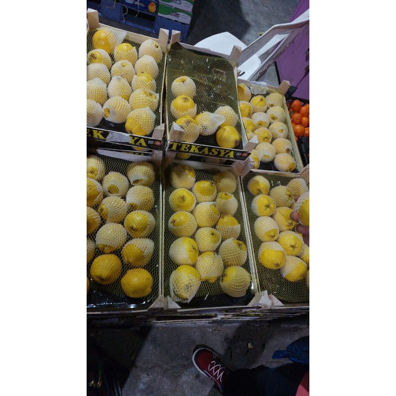 Jual buah safarjal /buah quince per biji / per 1 pcs. buahnya baru ...