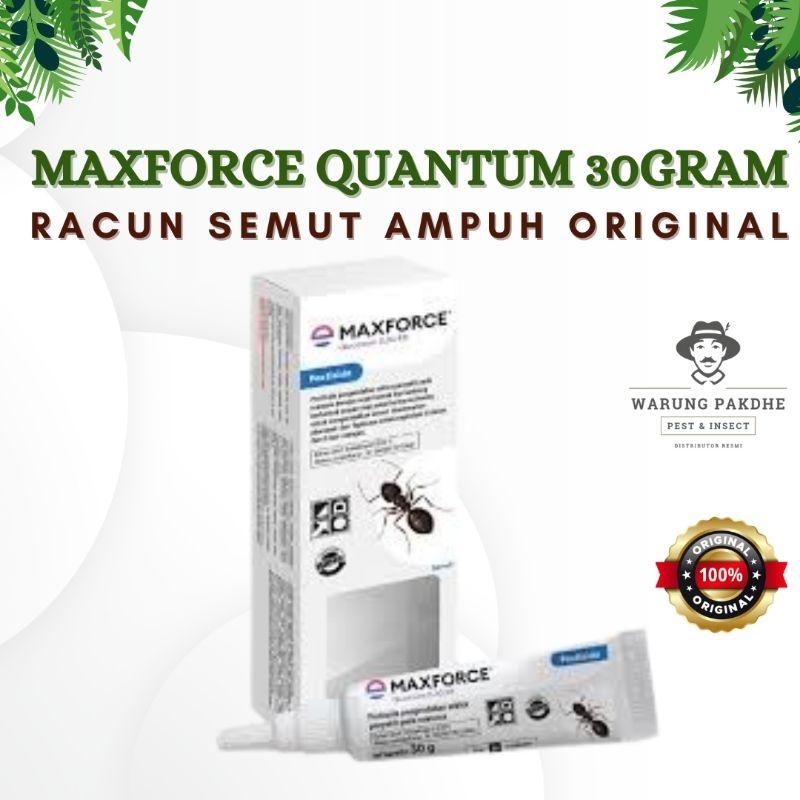 Jual MAXFORCE QUANTUM 30gr RACUN SEMUT GEL PEMBASMI SEMUT RANGRANG TANAMAN RUMAH ORIGINAL BAYER ...