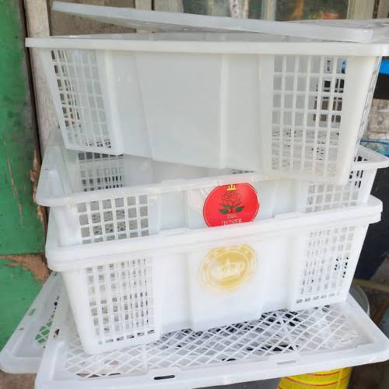 Jual Kerajang buah bekas - Keranjang Burung - Keranjang Ayam | Shopee ...