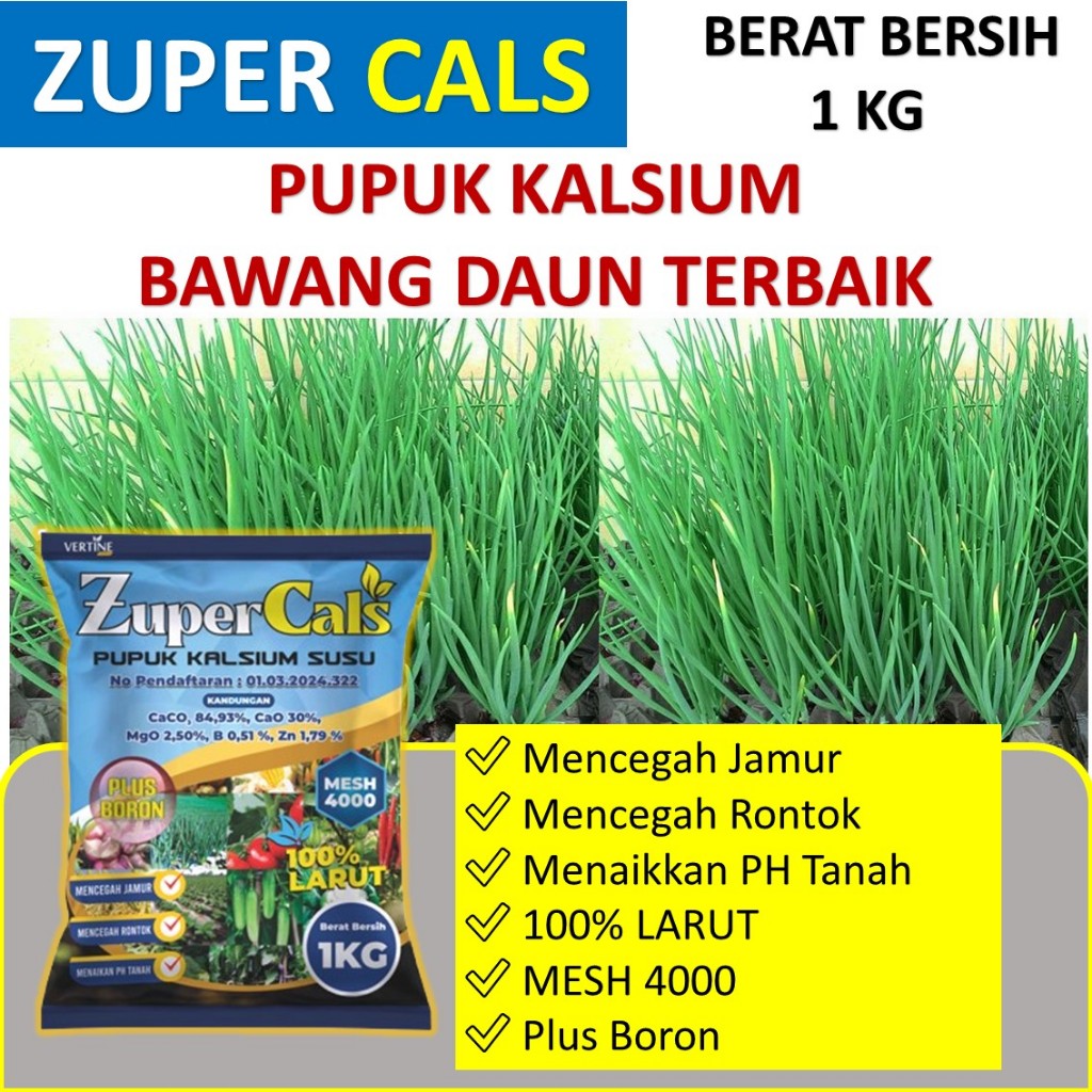 Jual Pupuk Terbaik Bawangd aun Pelebat Umbi Bawang daun dan Atasi Busuk ...