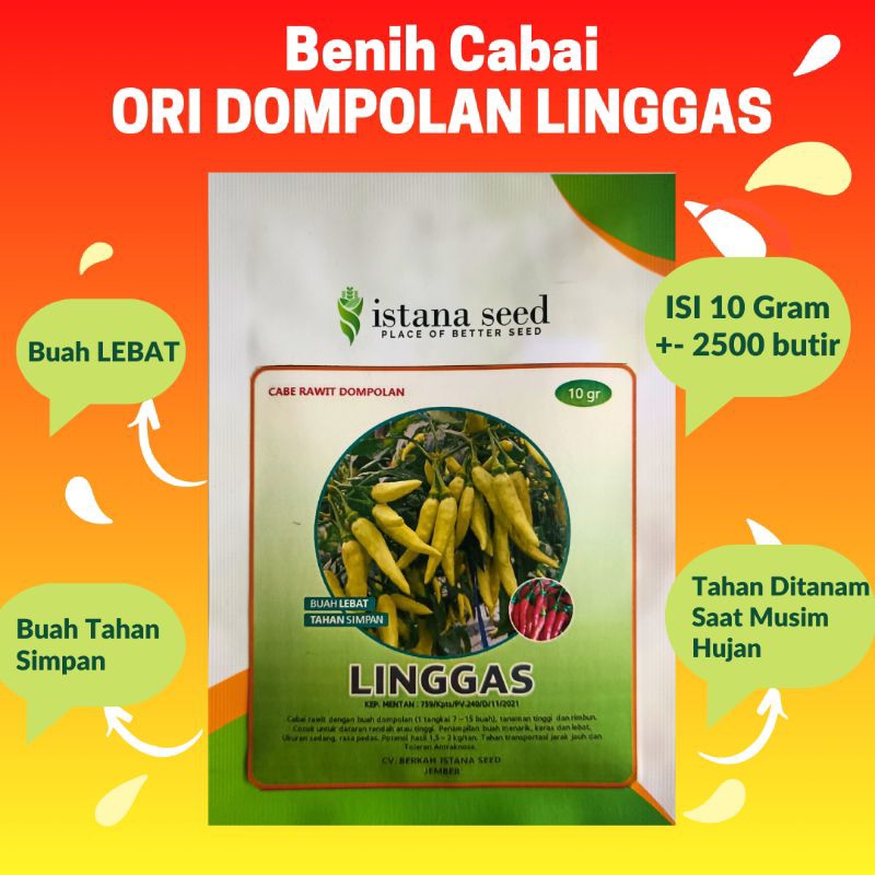 Jual Benih Cabe Rawit Dopmpolan LINGGAS / Benih Lombok Rawit LINGGAS / Benih Cabe Rawit Gerombol ...