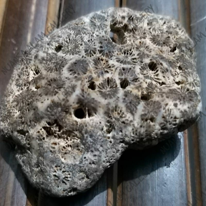 Jual Batu Permata Legenda Urban Nusantara Teratai Harapan Sarang Tawon ...