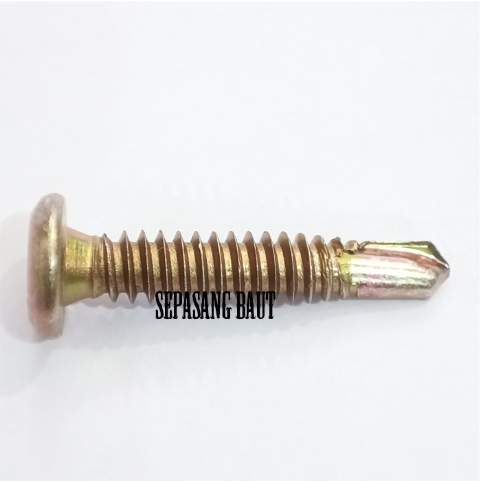 Jual 10 x 25 Sekrup Wafer Head SDS 10x25 Self Drilling Screw Roofing ...