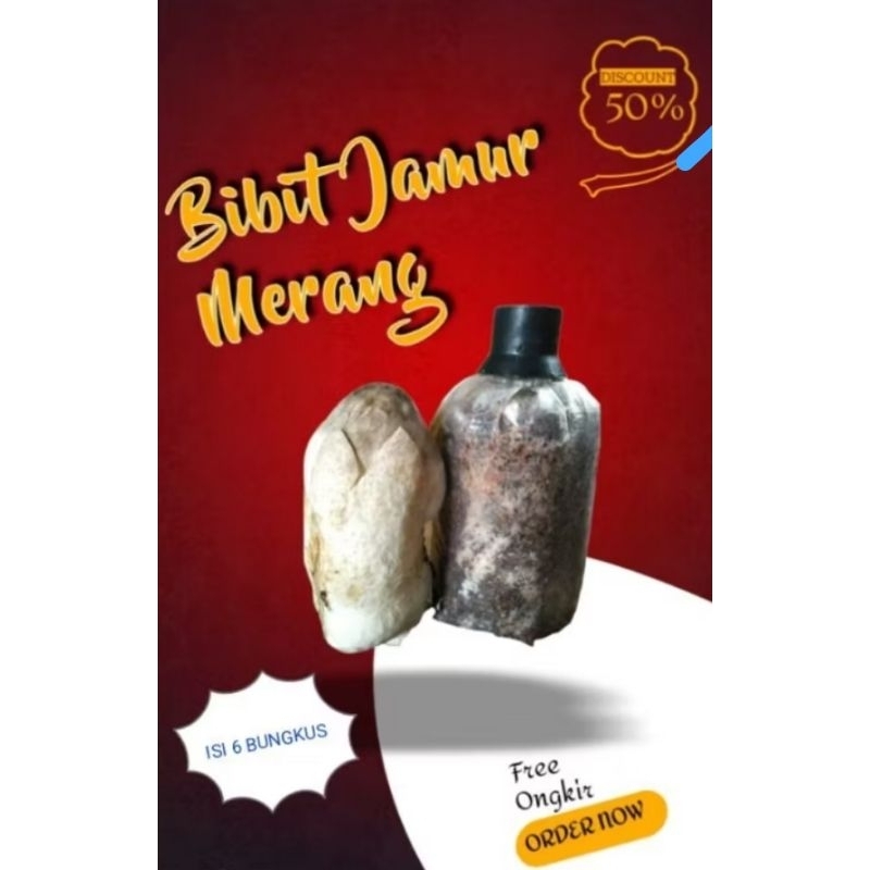 Jual BIBIT JAMUR MERANG PUTIH 6 LOG TERLARIS TERMURAH | Shopee Indonesia