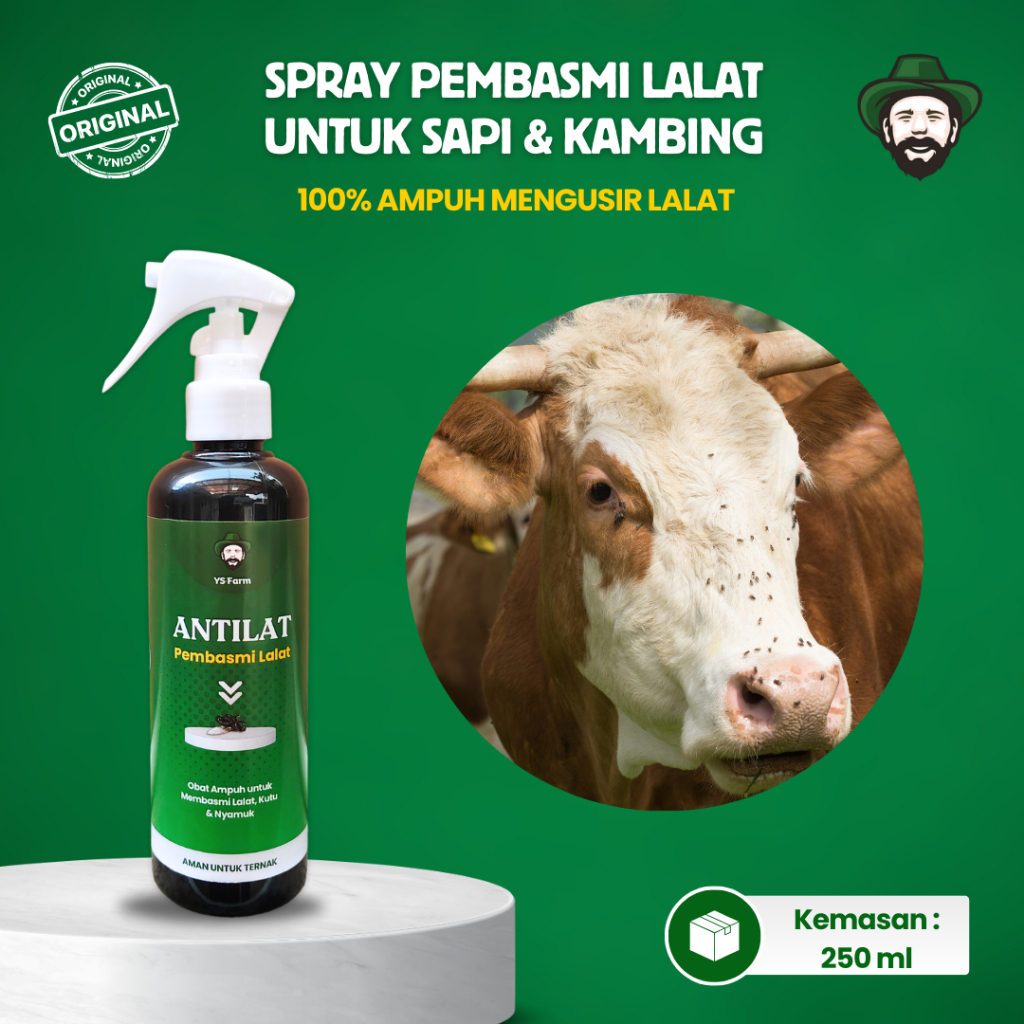 Jual ANTILAT Obat Lalat untuk Sapi Kambing Pembasmi Lalat Kutu Nyamuk ...