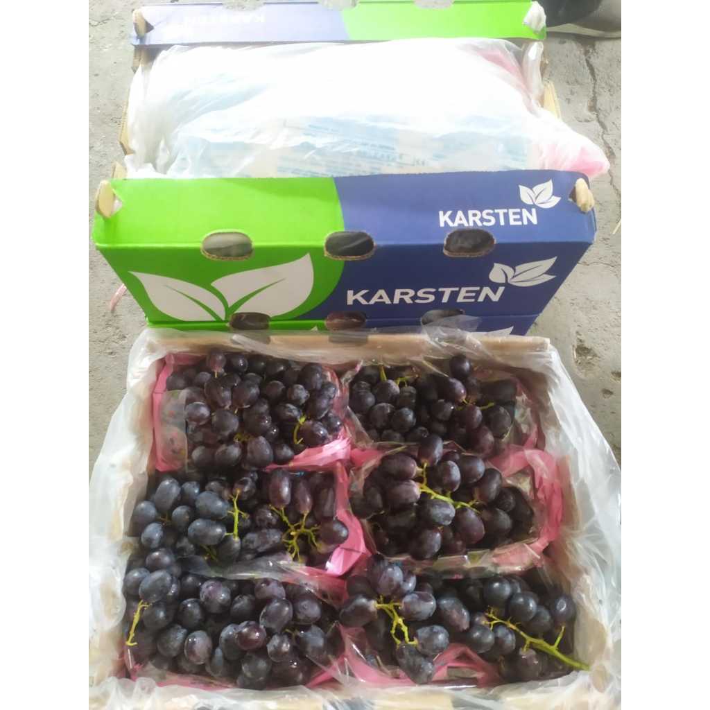 Jual ANGGUR MIDNIGHT BEAUTY AFRIKA | Shopee Indonesia