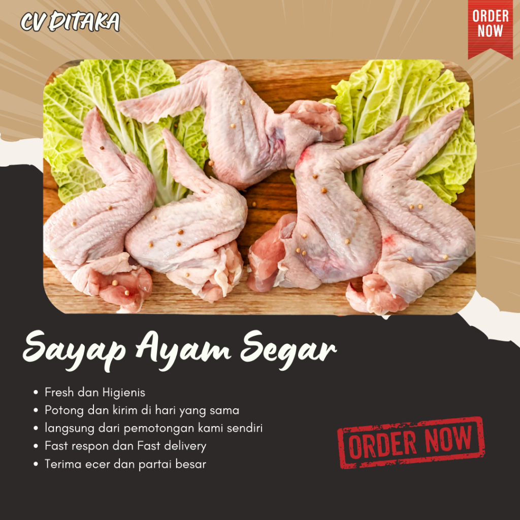 Jual CV DITAKA Sayap Ayam Seger / Chicken wings (BOGOR) | Shopee Indonesia