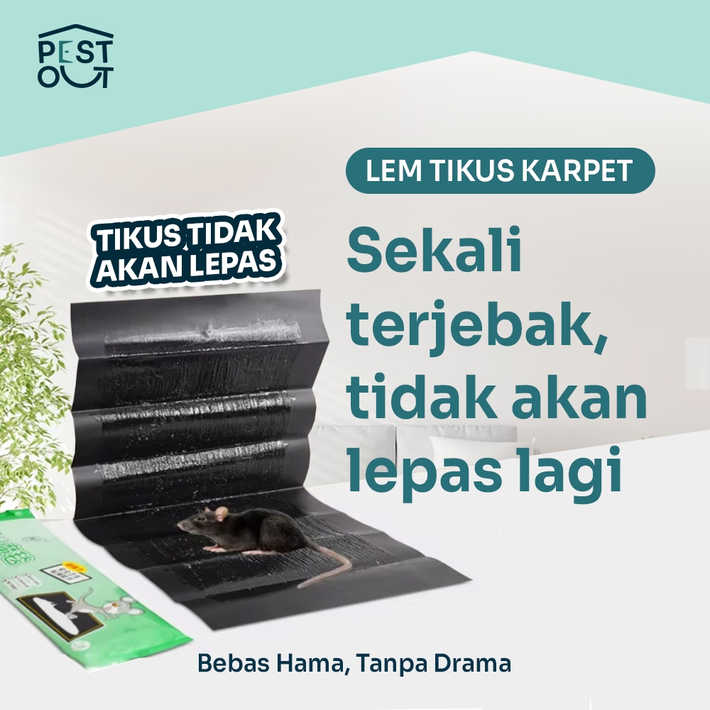 Jual Lem Tikus Karpet Lem Perangkap Tikus Jumbo 0.6/1.2M Lem Hama Tikus ...