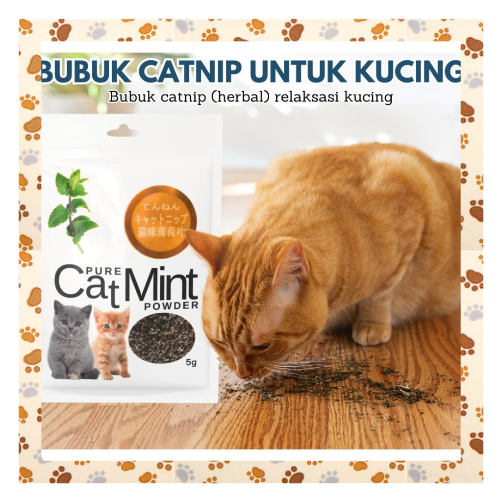 Jual A33AA0 Catnip Bubuk SACHET Serbuk Penghilang Stres Penenang Kucing ...