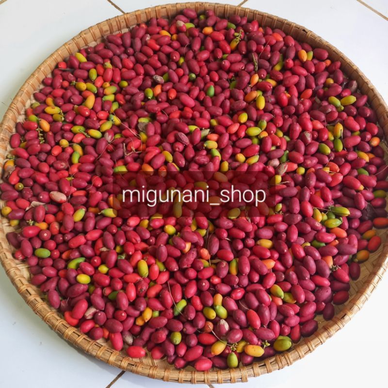 Jual buah melinjo 1 kg biji mlinjo kulit utuh merah kuning hijau segar ...