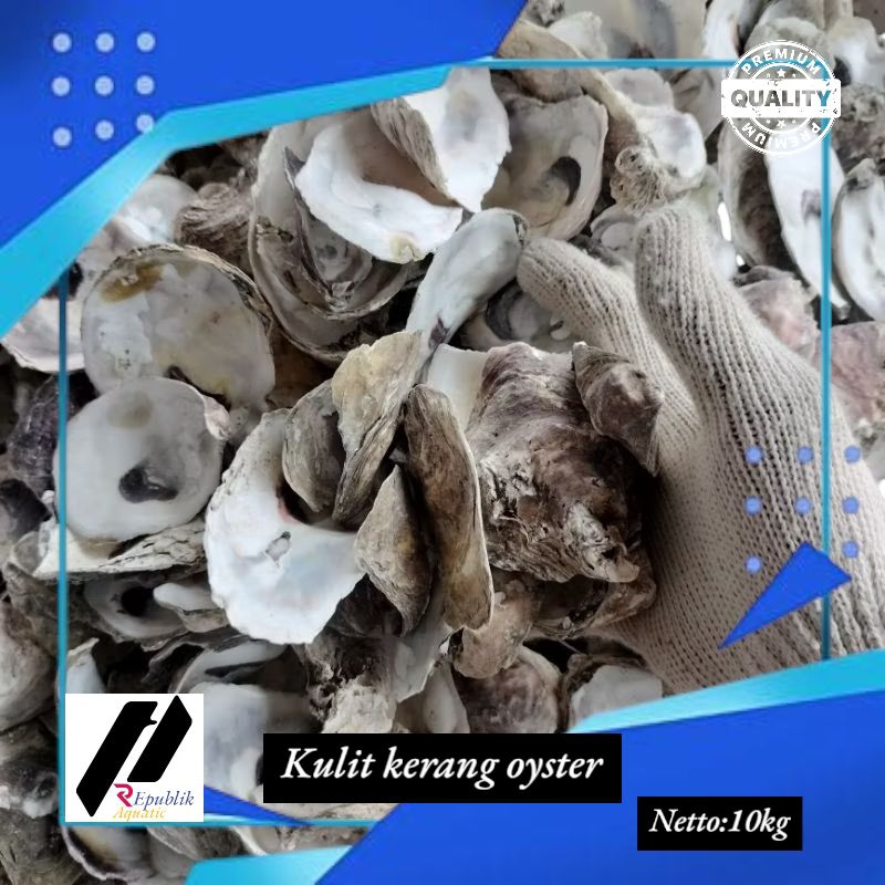 Jual Kerang oyster karungan 10 kg / oyster / kerang oyster / media ...