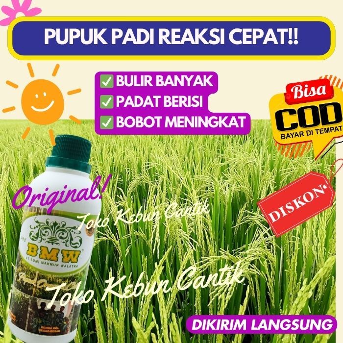 Jual (PROMO) Obat Cair BMW 500ML - POC NPK Padi Menambah Bobot Padi dan ...