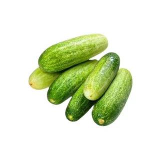 Jual Timun 1 Kg Terlengkap & Harga Terbaru Januari 2026 | Shopee Indonesia
