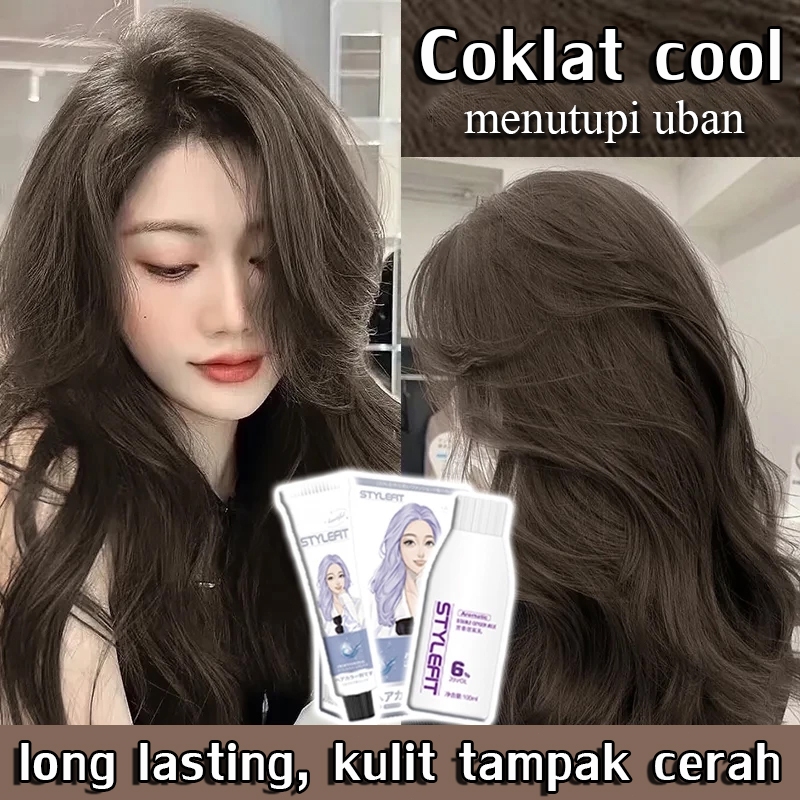 Jual 【 menutupi uban】STYLE FIT cat rambut *210ml coklat cool cat cepat ...