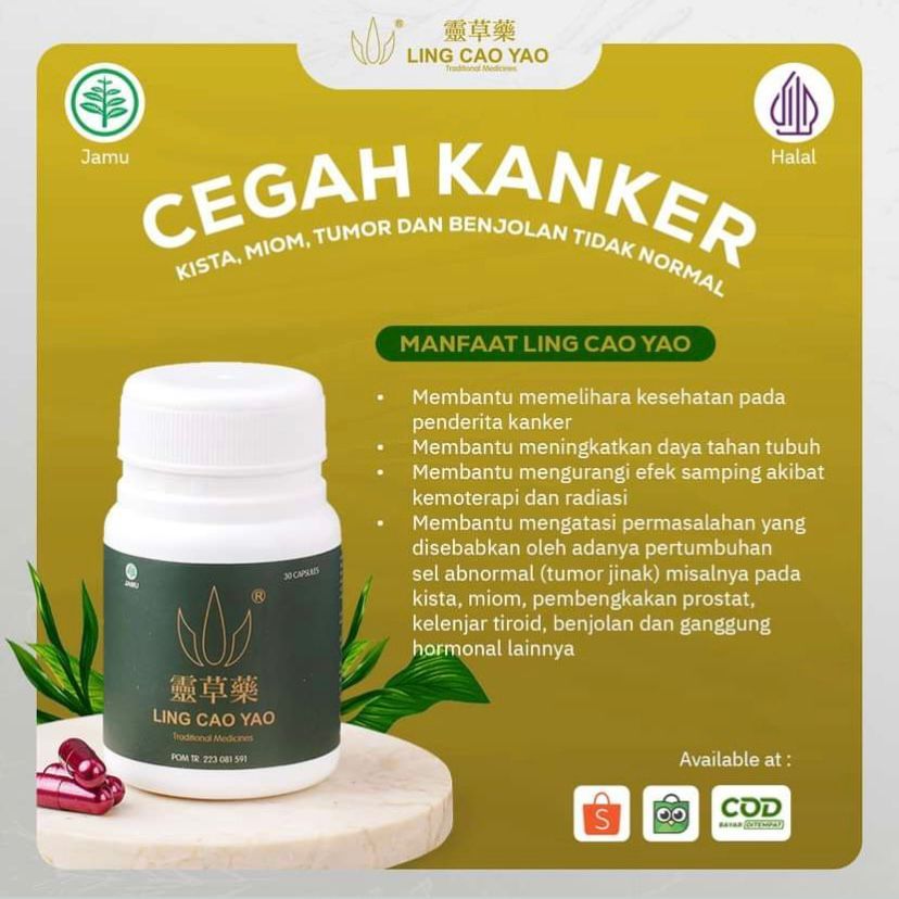 Jual Ling Cao Yao Obat Herbal Kanker Tumor Kista Miom Endometriosis ...