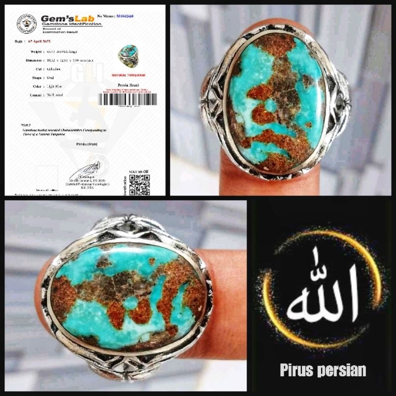 Jual natural pirus ijo daun persia iran [ asli gambar lafadz ] | Shopee ...