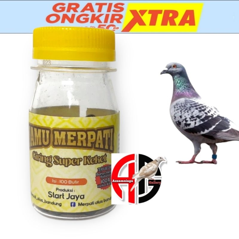 Jual JAMU MERPATI SUPER KEKET STAR JAYA MASTER POWER 100 BUTIR | Shopee ...
