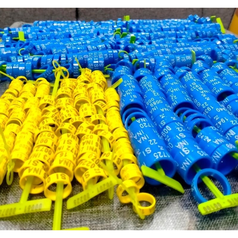 Jual RING (GELANG) KOPASI | Shopee Indonesia