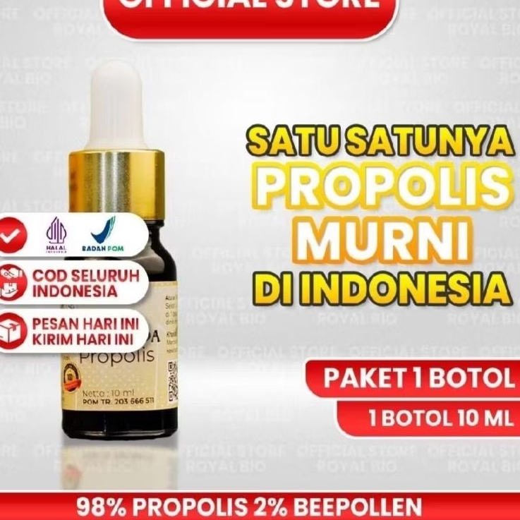 Jual HOLANDA PROPOLIS Original Asli Obat Diabetes Kolesterol Hipertensi ...
