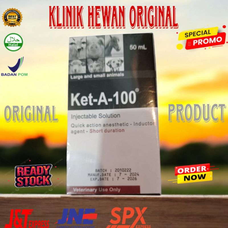 Jual KETA A 100 TERLARIS SOLUCION INYECTABLE ASLI ORIGINAL AMPUH ...